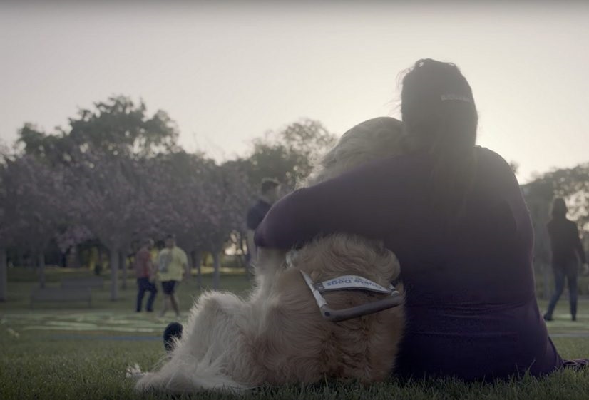 «Lookout» una app para personas con problemas de visión - Reseñando